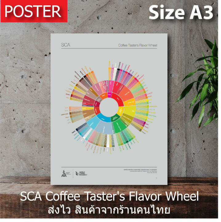 โปสเตอร์ Poster Coffee Cpunter Culture Coffee Taster’s Flavor Wheel (A3 ...