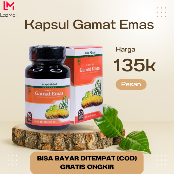 Kapsul Gamat Emas Asli 100% Oriignal - Kapsul Gamat Mas - Gamat Mas ...