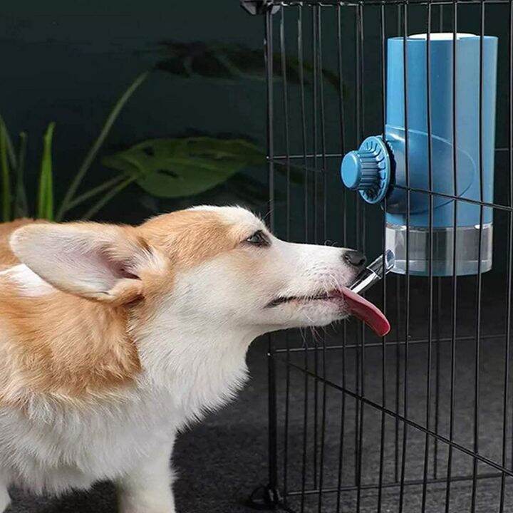 Hanging Cage Dog Water Dispenser Pet Water Bottle Cage Kennel Hanging ...