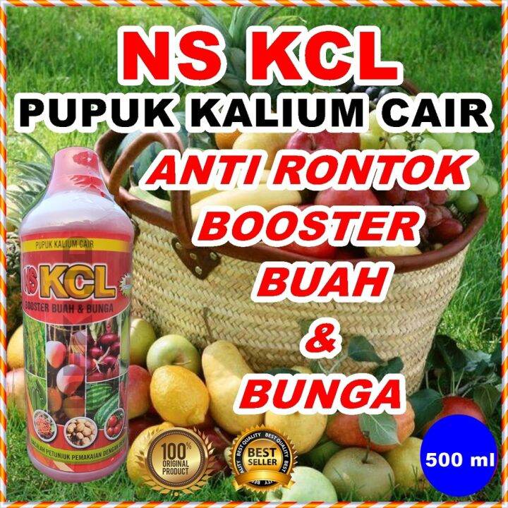 NS KCL 500 ml Pupuk Kalium Cair Pembuahan Generatif Tanaman Pemanis ...