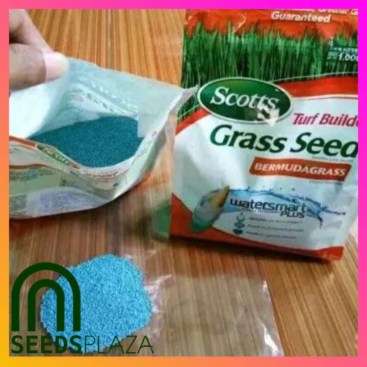 Seedsplaza Bermudagrass Scotts® Turf Builder® Grass Seeds 100 Seed 💯 Free Planting