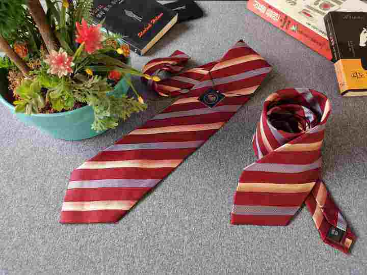 Classic Wide Necktie 100% Silk Stripe Ties (1 of 10) | Lazada PH