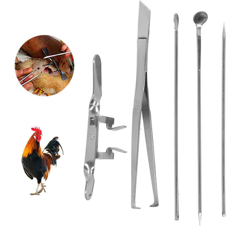 5Pcs Chicken Capon Tool Stainless Steel Poultry Rooster Castration ...