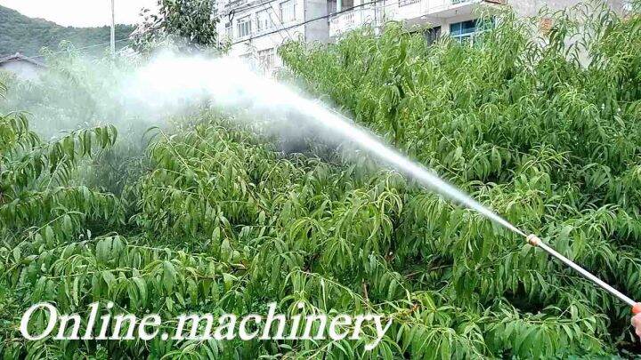 Heavy Duty Spray gun Knapsack Sprayer Pam Racun Water pump ogawa ...