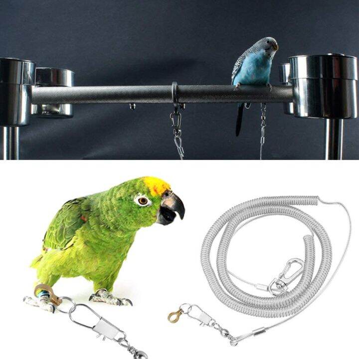 Bird Leash without Leg Ring Parrot Flying Training Rope Straps for ...