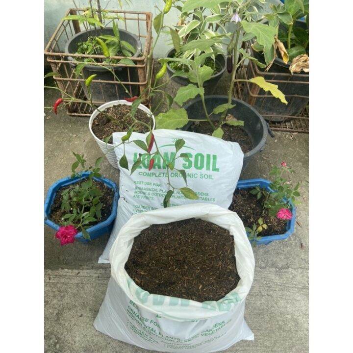 【Limited time discount】 sold per kilo. Loam Soil/Organic Soil/Lupa ...