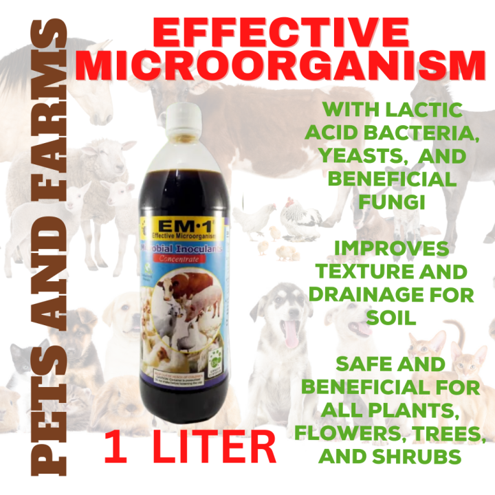 EM 1 microbial concentrate FOR LIVESTOCK EM1 1 LITER | Lazada PH