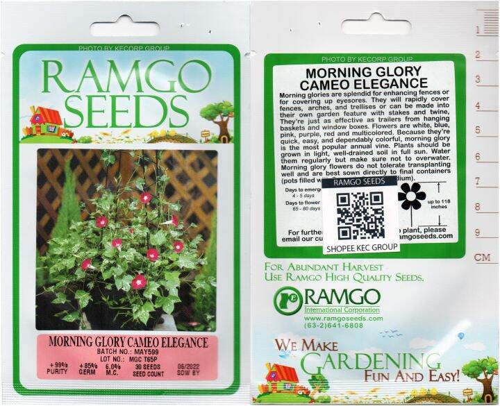 Ramgo Flower Seeds RCF MORNING GLORY SEED COUNT: 30 seeds Original ...