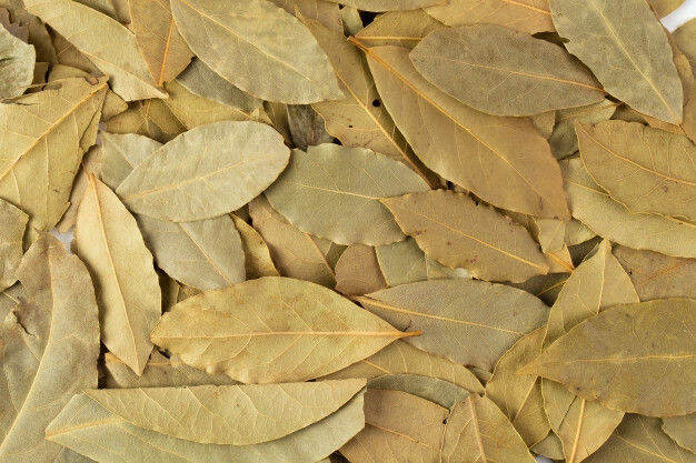 Dried Bay Leaves | Daun Salam Kering | Lazada Indonesia