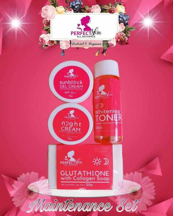 PERFECT SKIN MAINTENANCE KIT NEW PACKAGING | Lazada PH