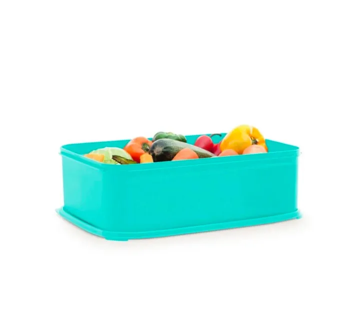 Tupperware Large Modular Rectangular 9.4L - Paradise | Lazada PH