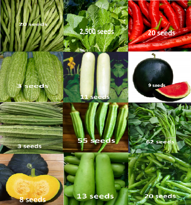 CONDOR BRAND seeds 20 pesos per pack - sitaw mustasa sili ampalaya ...