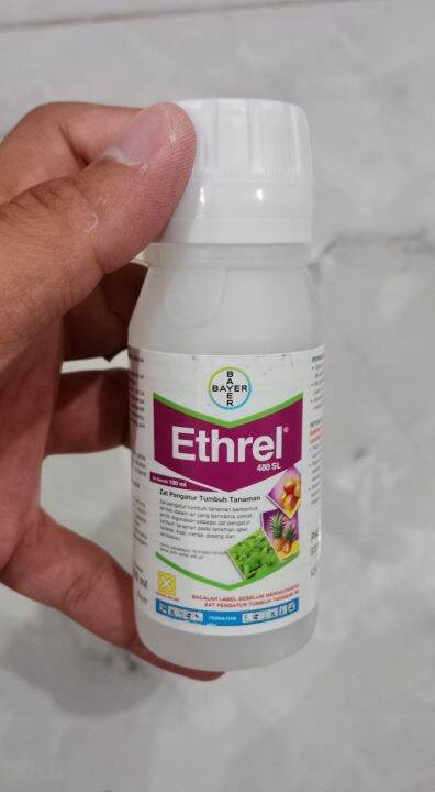 Hormon Tanaman Zat Pengatur Tumbuh (ZPT) ETHREL 480 SL Kemasan 100 ML ...