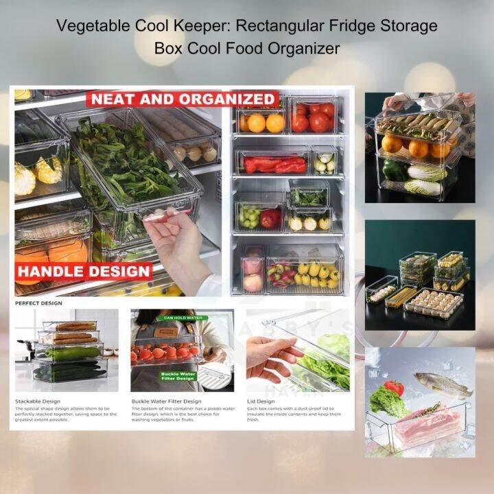 Vegetable/Meat Cool Keeper: Rectangular Fridge Storage Box Cool Food ...