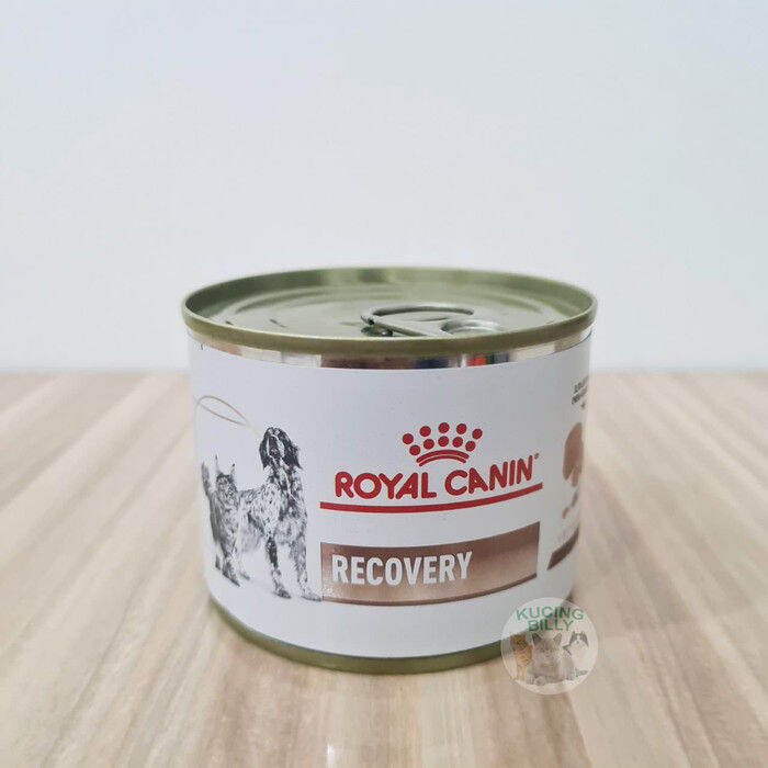 Royal Canin Recovery Canine & Feline 195g x 12 cans | Lazada