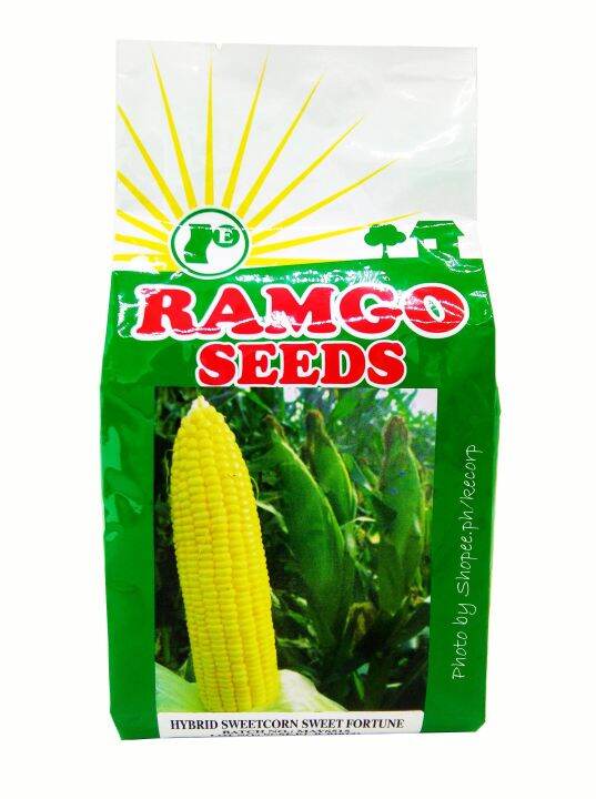 Ramgo Seeds Corn Sweet Fortune 1 Kilo Pack | Lazada PH