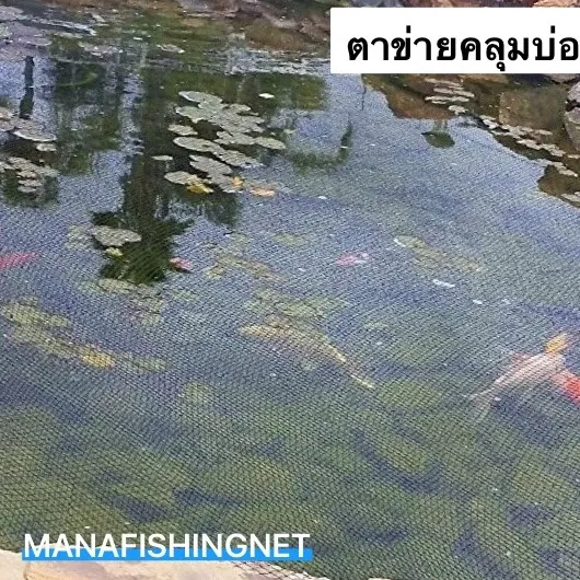 ตาข่ายคลุมบ่อปลาในสวนขนาดใหญ่ อ่างเลี้ยงปลา ป้องกันนก ป้องกันใบไม้ล่วง ...