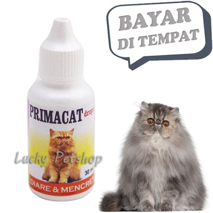 Obat Kucing Mencret Diare Distamper PRIMACAT Cat High Concentrated ...