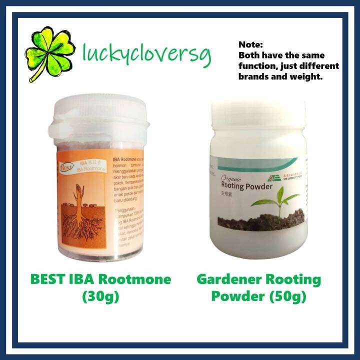Rooting Powder / BEST IBA Rootmone / Gardener / Hormone / Growth Of ...