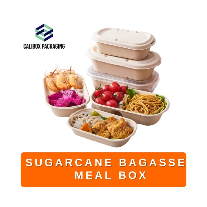Calibox Packaging Oval Sugarcane Bagasse Box Biodegradable Eco-Friendly ...