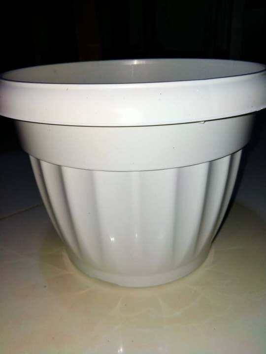 set of 5pcs big white round pot (10x7.5inches) - 40pesos each only ...