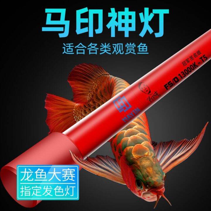 [COD] Mayin magic lamp arowana special aquarium three primary colors ...