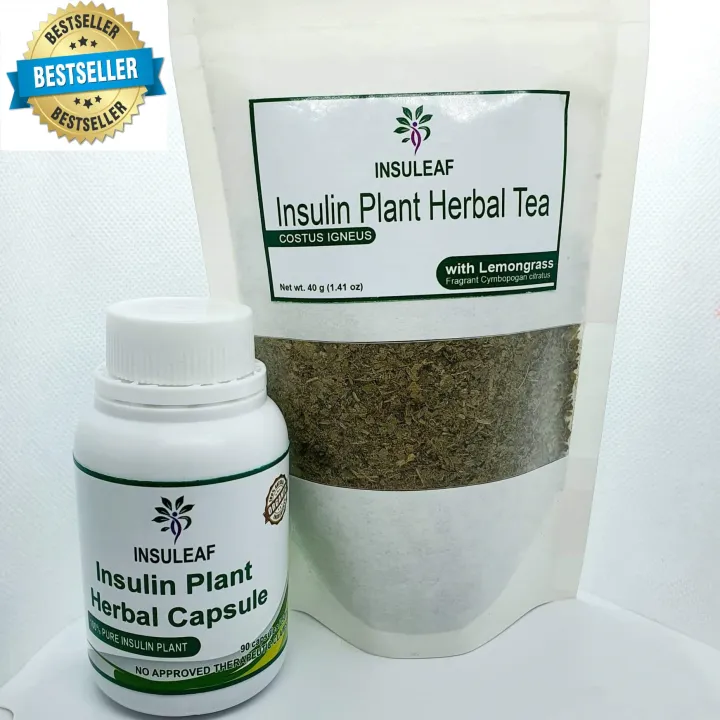 AUTHENTIC INSULIN PLANT HERBAL CAPSULE AND TEA / COMBO ANTI DIABETES ...