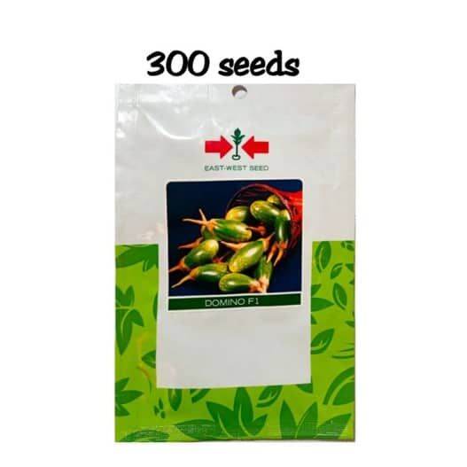 Hybrid DOMINO F1 Small Talong Green (Eggplant) East West Seeds | Lazada PH