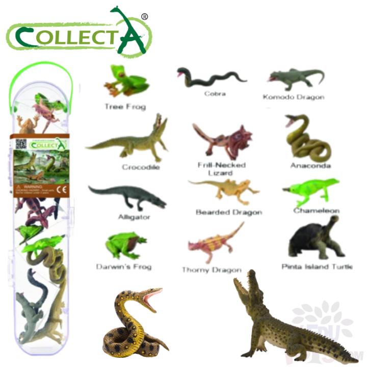 Collecta A1194 Box of Mini Reptiles Amphibians size 11.5cm x 15cm ...