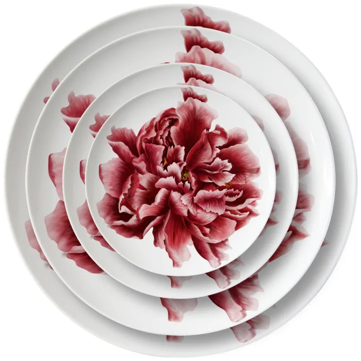 Kitchen Plus Helga dinner plate fine Bone China Plates elegant plate ...