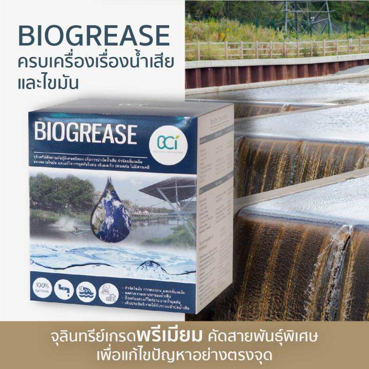 BIOGREASE จุลินทรีย์คัดสายพันธุ์สำหรับบำบัดน้ำเสีย ย่อยสลายไขมัน ปรับค่าน้ำ และกำจัดกลิ่นเหม็น ...