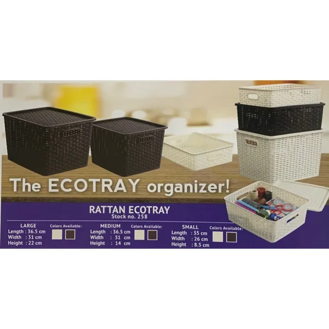 Zooey Rattan Eco Tray - LARGE | Lazada PH