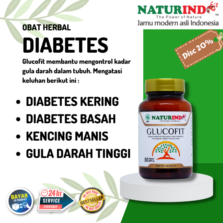 Obat Diabetes Herbal Ampuh Gula Darah Tinggi Kering Kencing Manis Basah ...