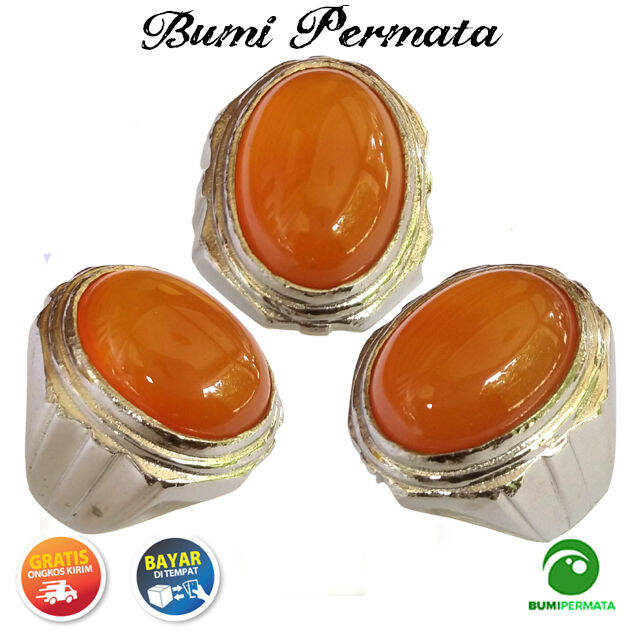 Jenis Batu Akik Cempaka