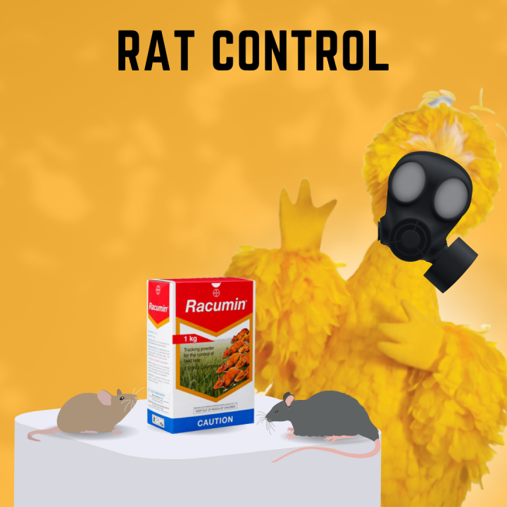 RACUMIN TRACKING POWDER | RODENTICIDE | COUMATETRALYL | RAT CONTROL - 1 ...