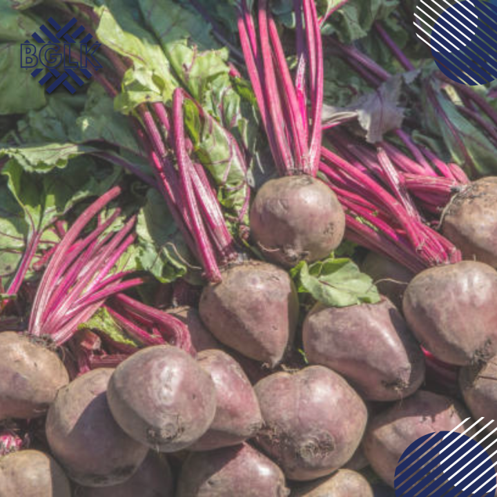 Sugar Beets Beetroot 1/2 kilo Local Produce Boxed packaging | Lazada PH