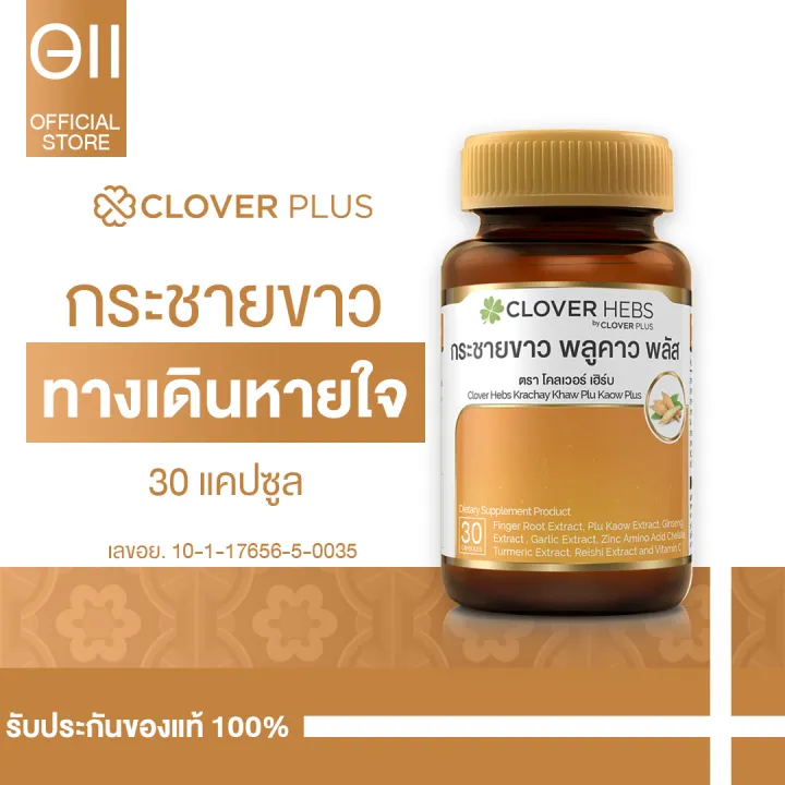 Clover Plus อาหารเสริม สมุนไพร สารสกัดจากกระชายขาว เห็ดหลินจือ โสม วิตามินซี พลูคาว กระเทียม ...