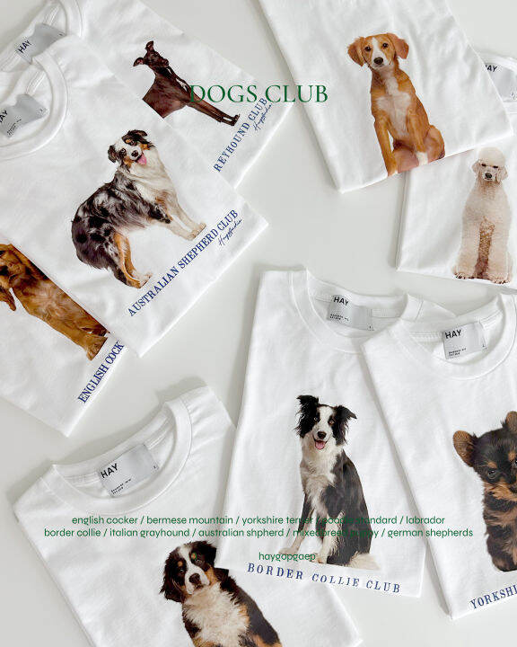HAY - DOGS CLUB | Lazada.co.th