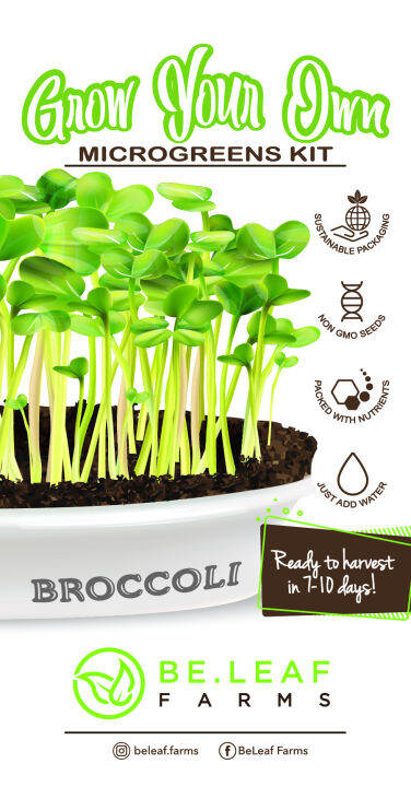 Beleaf Farms "Grow Your Own" Broccoli Grow Kit - Microgreens, Broccoli ...