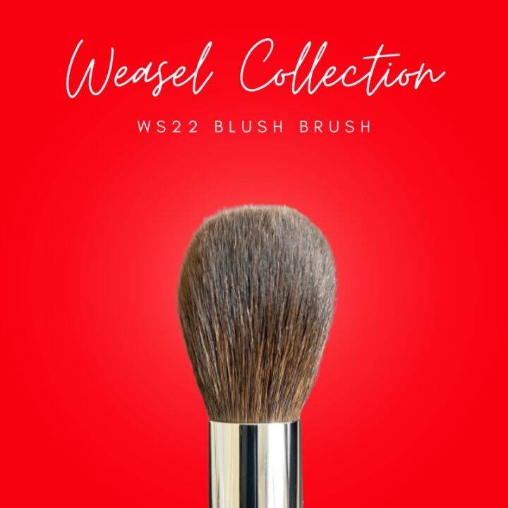 🚩สินค้าใหม่ BRUSH STUDIO WS22 Blush Brush แปรงแก้มขนวีเซล | Lazada.co.th