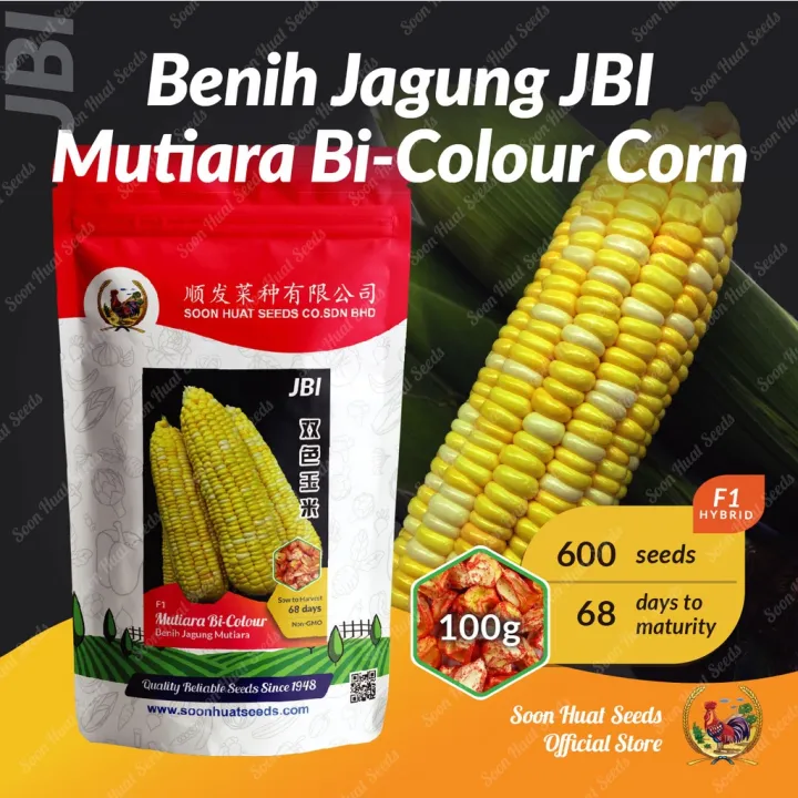 Soon Huat Benih Jagung Mutiara JBI Bicolor Corn Seeds(It's a seed, not ...