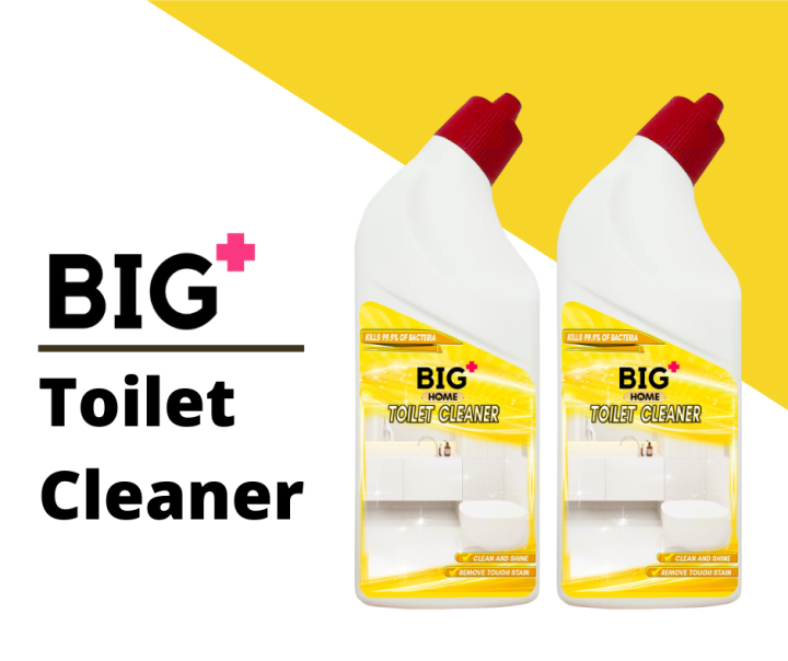 BIG+ Toilet Cleaner (2 x 600ml) Remove Stain on Toilet Bowl Toilet ...