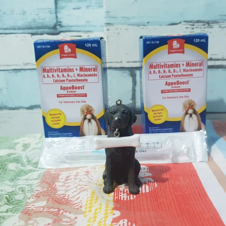 AppeBoost Vitamin Supplement for Dogs 120ml with Additional 1 FREE ...