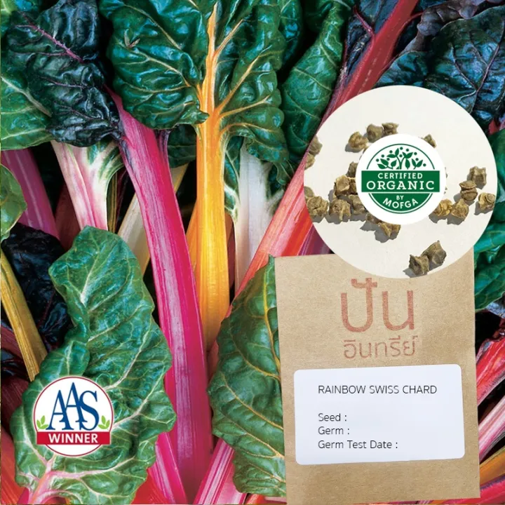 ♚เมล็ดพันธุ์ เรนโบว์ สวิสชาร์ด Rainbow Swiss Chard (Organic Seed) AAS ...