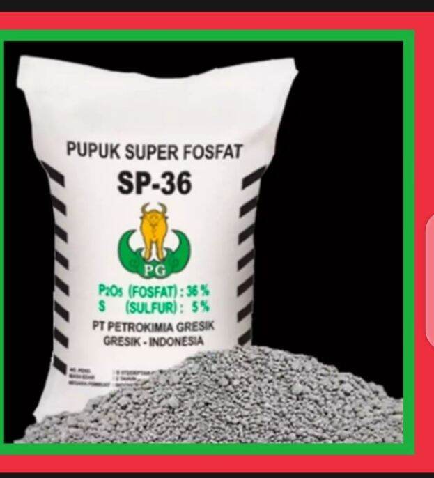Pupuk sp 36 ts warna hitam repack 1kg | Lazada Indonesia
