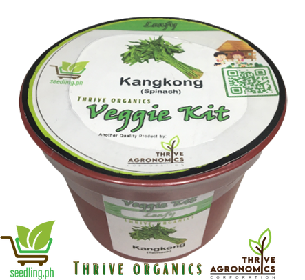 Kangkong | Water Spinach | Green Leafy Veggie Kit | Grow Kit | Seedling ...