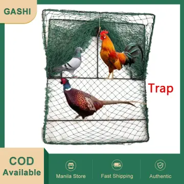 Colapsible Quail Trap