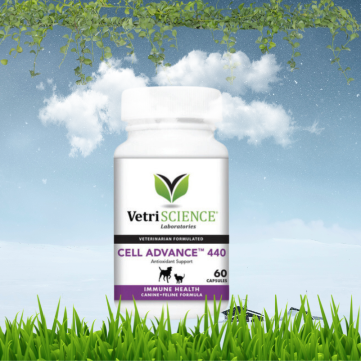 Vetri Science Cell Advance 440 For Canine Dog & Feline Cat Kucing 60 Capsules | Lazada