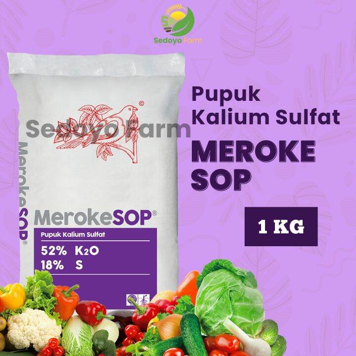 Pupuk Meroke SOP 1Kg Kemasan Ori Pabrik | Lazada Indonesia