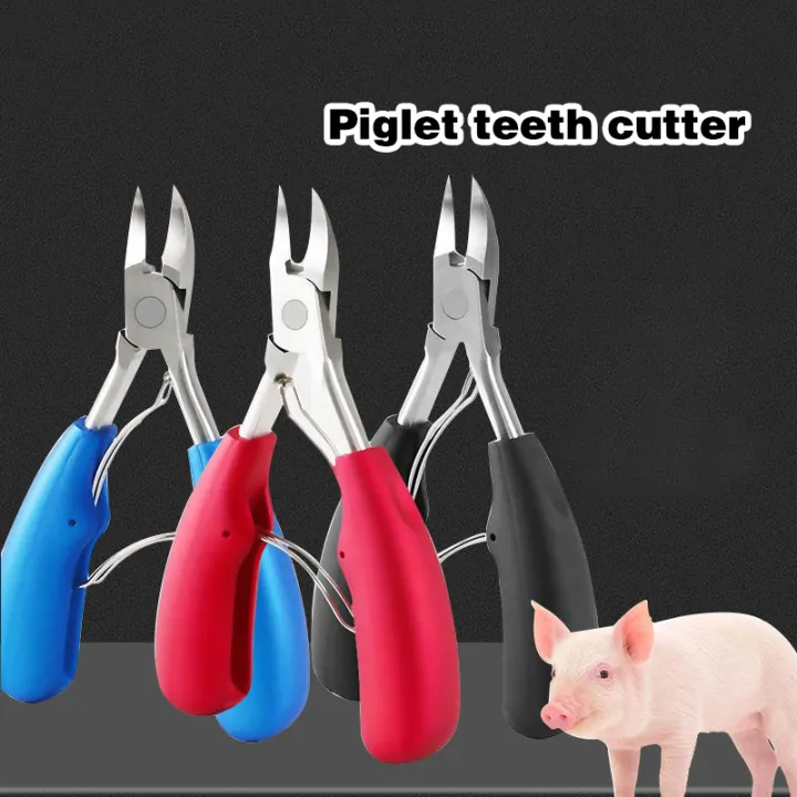 Piglet Tooth Cutter Stainless Steel Piglet Tooth Forceps Pig Tooth ...